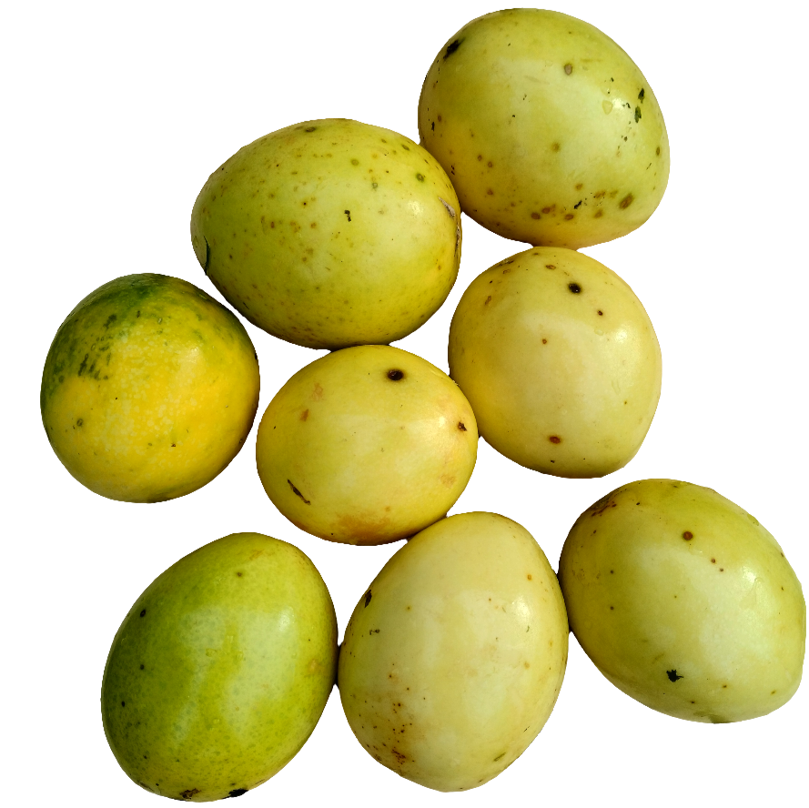 Mermelada de Parcha (Passion Fruit) – Del Palo Al Pote