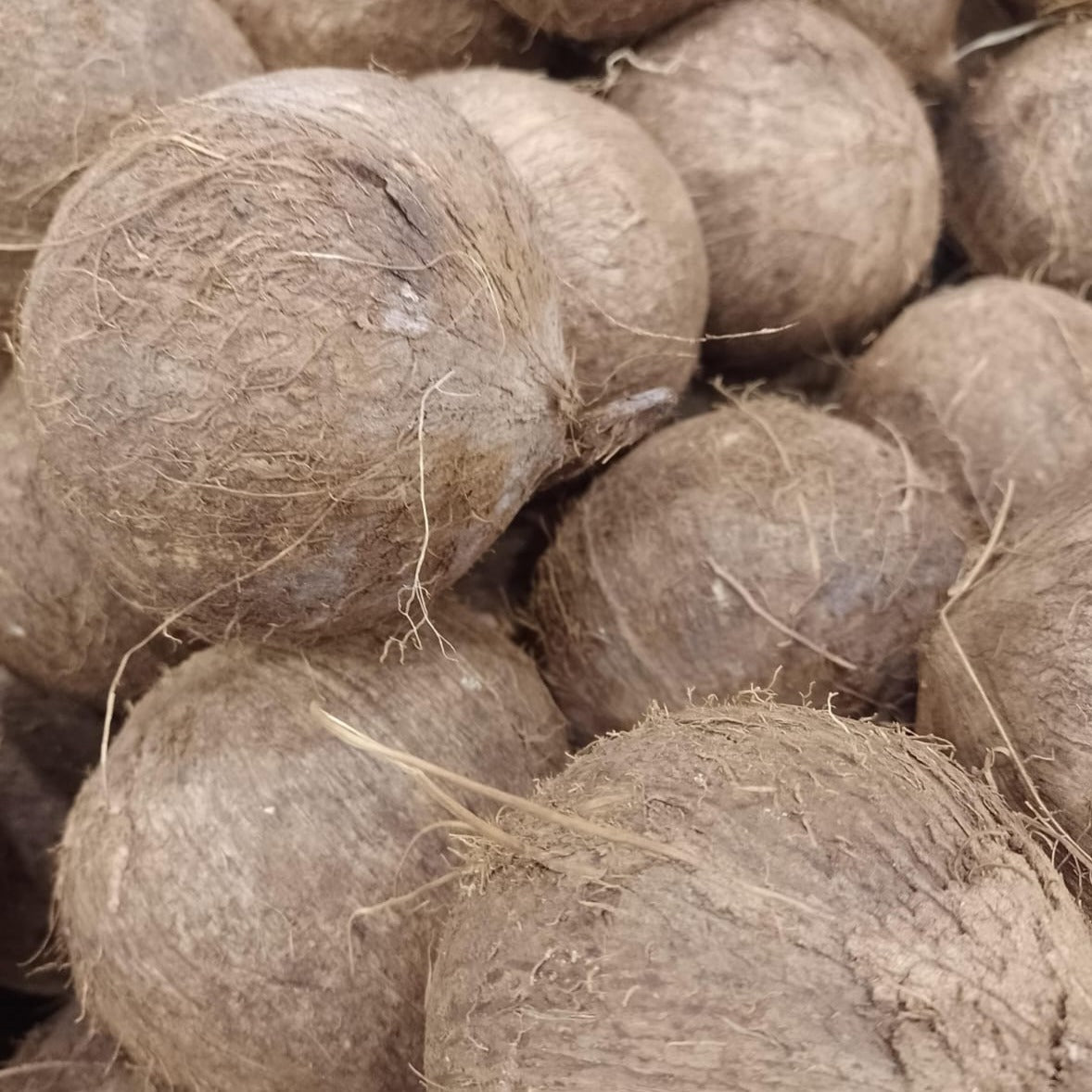 Mermelada de Coco (Coco Nut) – Del Palo Al Pote