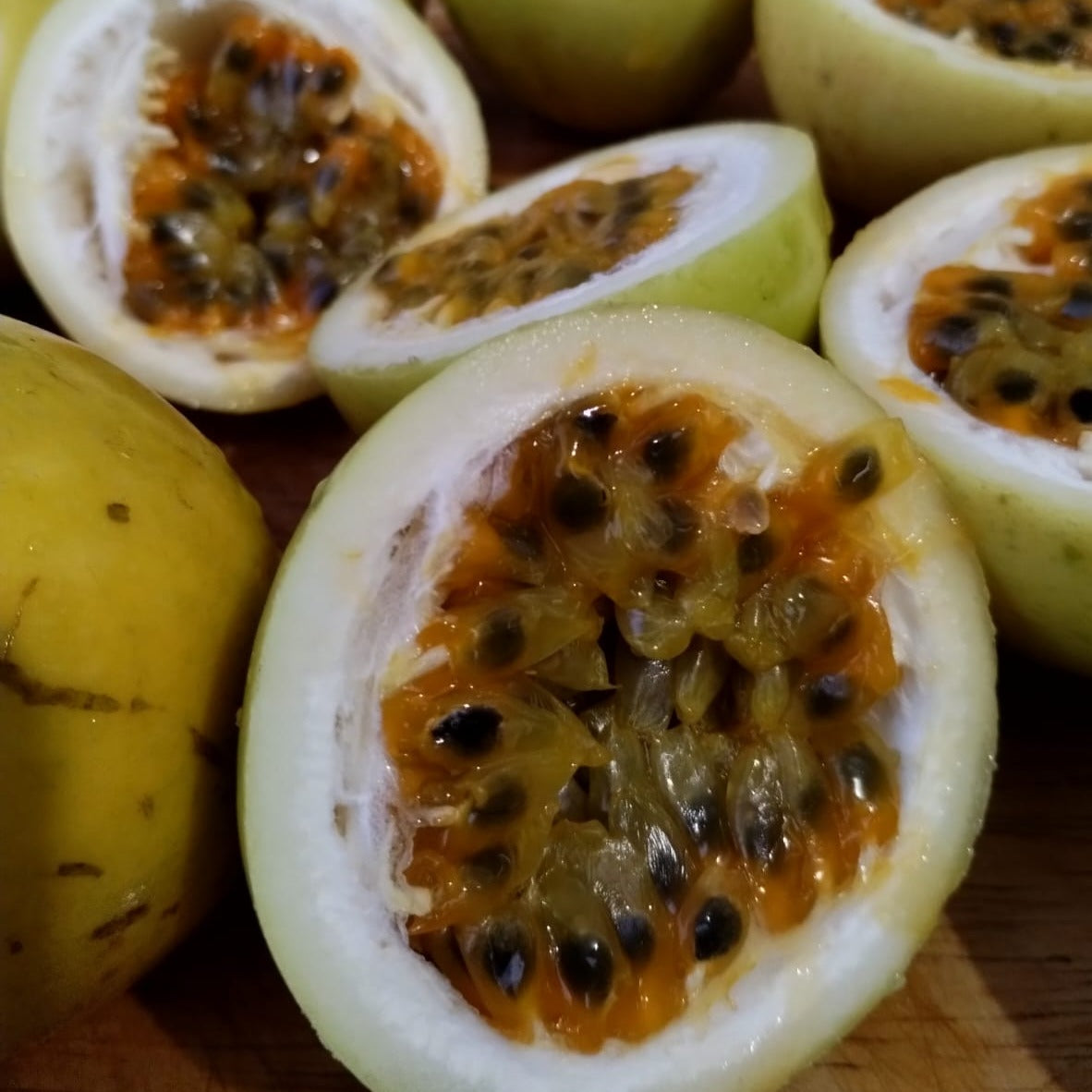Mermelada de Parcha (Passion Fruit) – Del Palo Al Pote