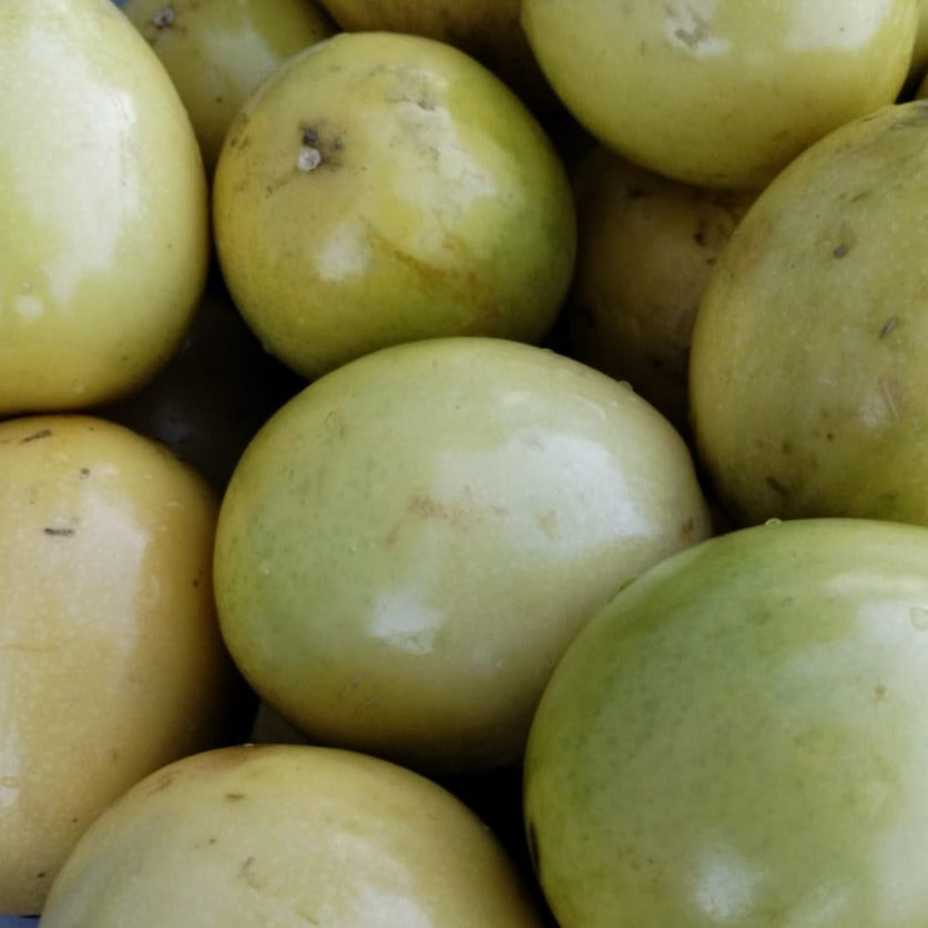 Mermelada de Parcha (Passion Fruit) – Del Palo Al Pote